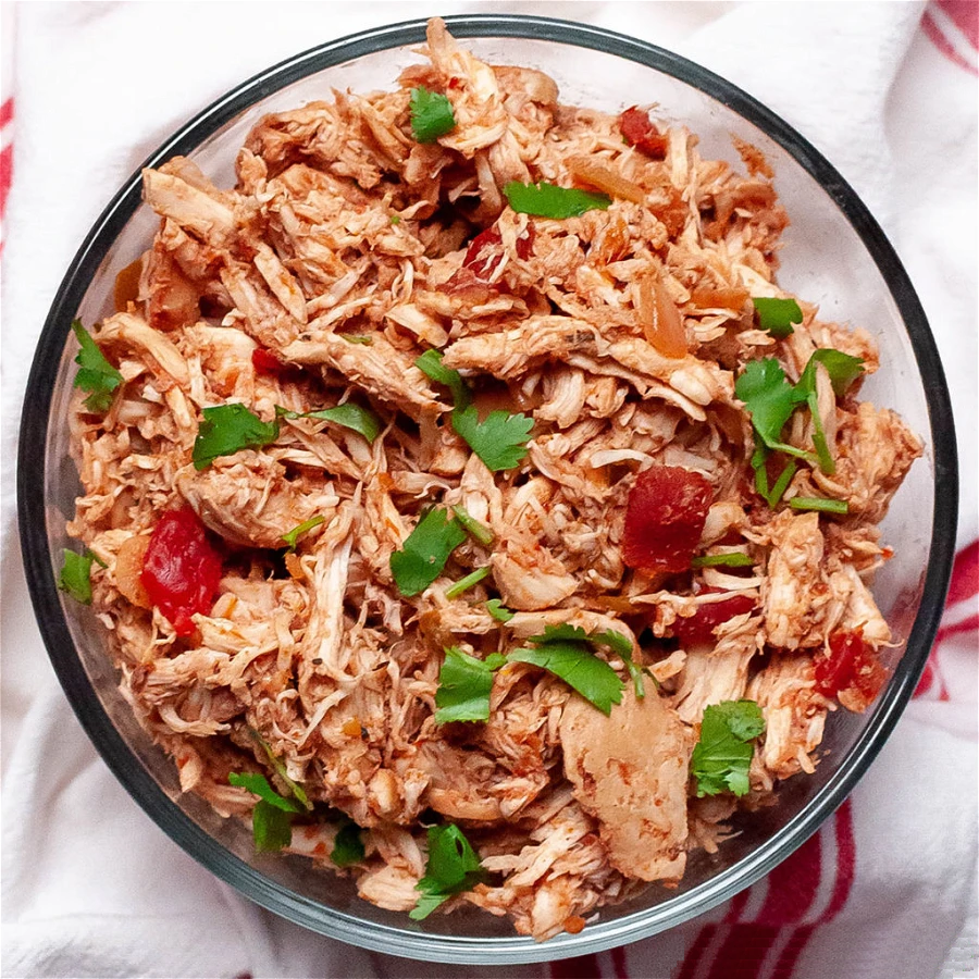 Salsa Chicken Crockpot Recipe Easy Diy Recipes