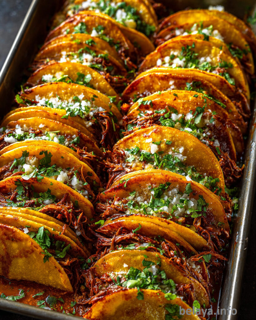 Birria Tacos - Easy DIY Recipes