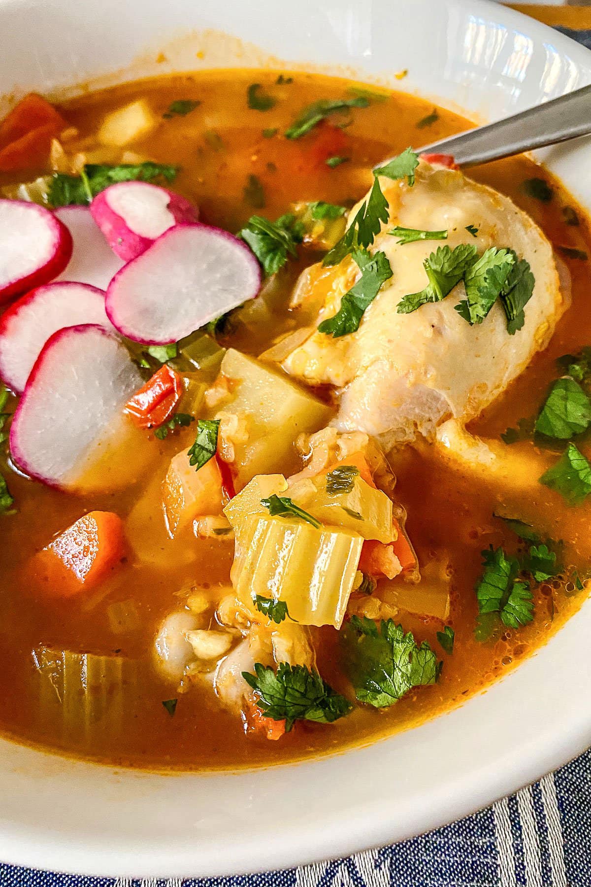 Caldo De Pollo Con Chile Rojo (Red Chili Chicken Broth) - Easy DIY Recipes