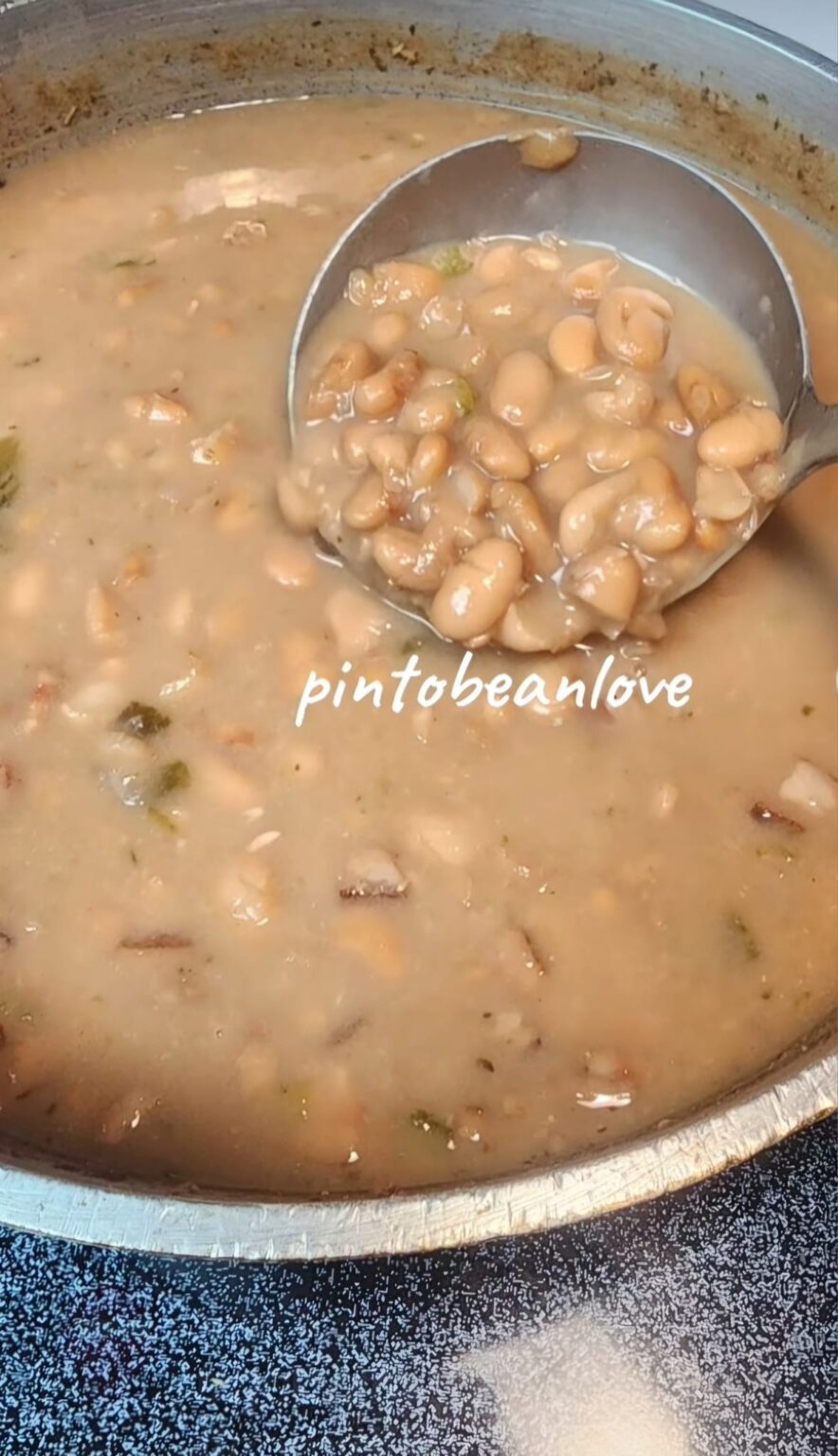 Creamy Pinto Beans with Bacon and Roasted Chili - Easy DIY Recipes